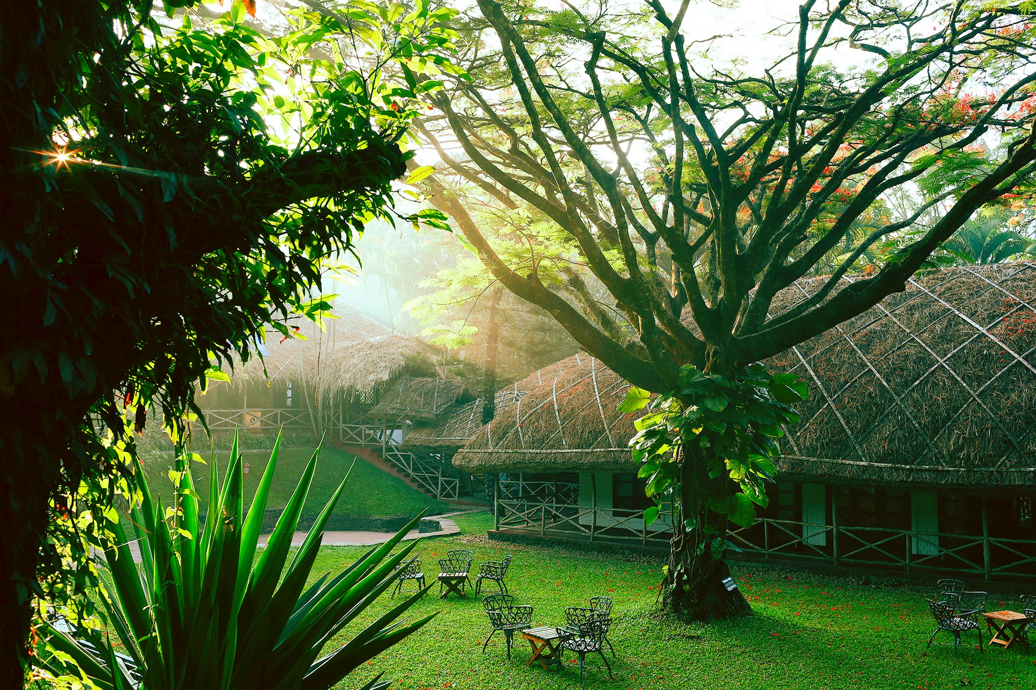 Spice Village Thekkady - A CGH Earth Experience Thekkady - Reviews ...