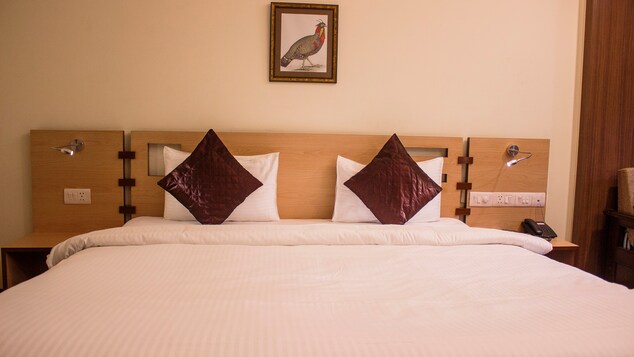 Savoy Greens Jabli Hotel Kasauli - Reviews, Photos & Offer