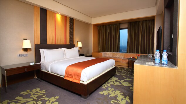 Holiday Inn New Delhi Mayur Vihar Hotel Delhi - Reviews, Photos & Offer