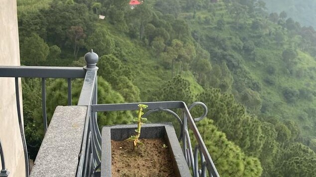 Photos of Astra Resort and Caffe - Kasauli Hotel on Goibibo