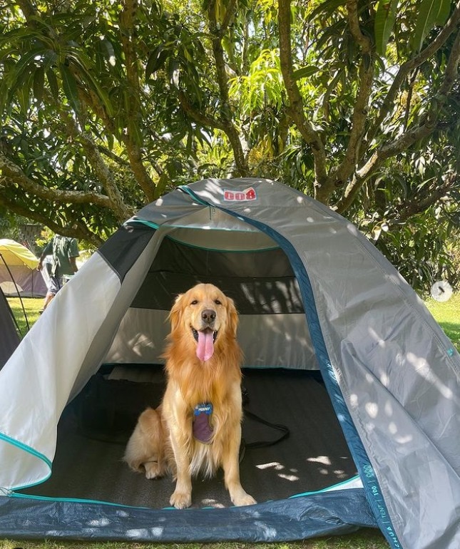 Q Mango Resort Ramanagara - Reviews, Photos & Offer