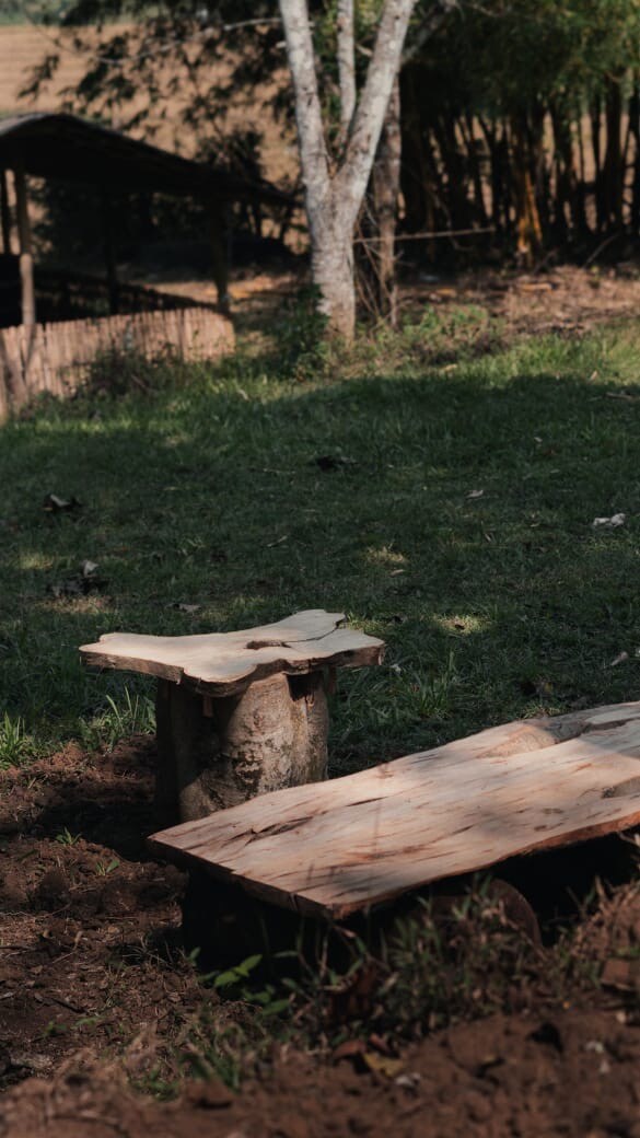 Uravu by Lakota Forest Stay in Wayanad Homestay Wayanad - Reviews ...