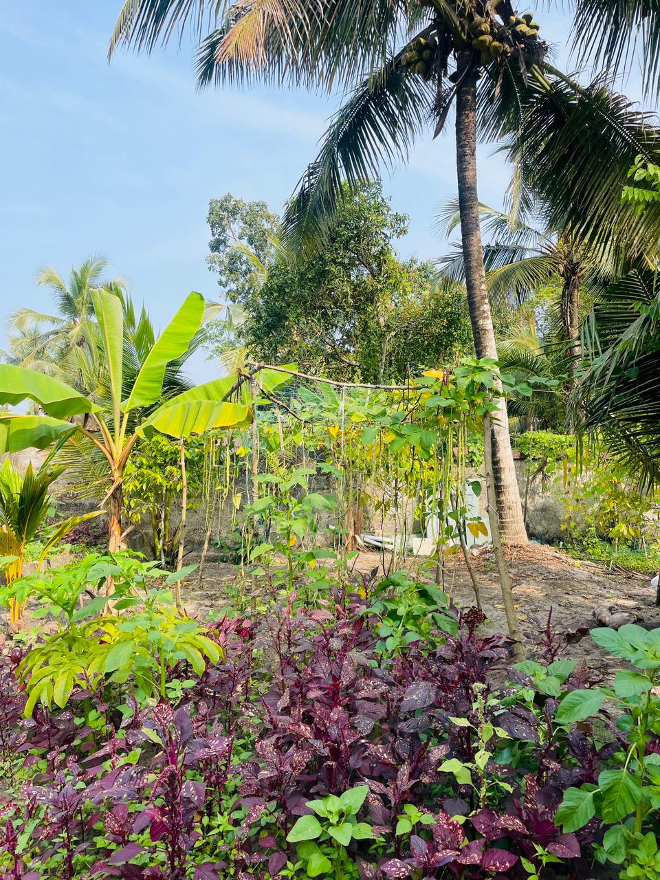 Samudra Beachbay 4BHK Homestay Alleppey - Reviews, Photos & Offer