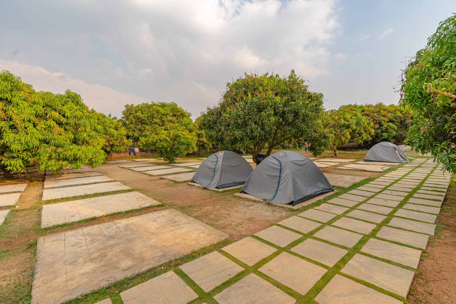 Q Mango Resort Ramanagara - Reviews, Photos & Offer