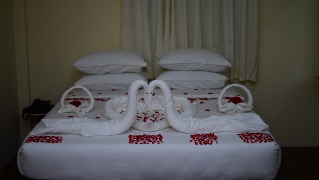 Amegundi Resort Hotel Kanakapura - Reviews, Photos & Offer