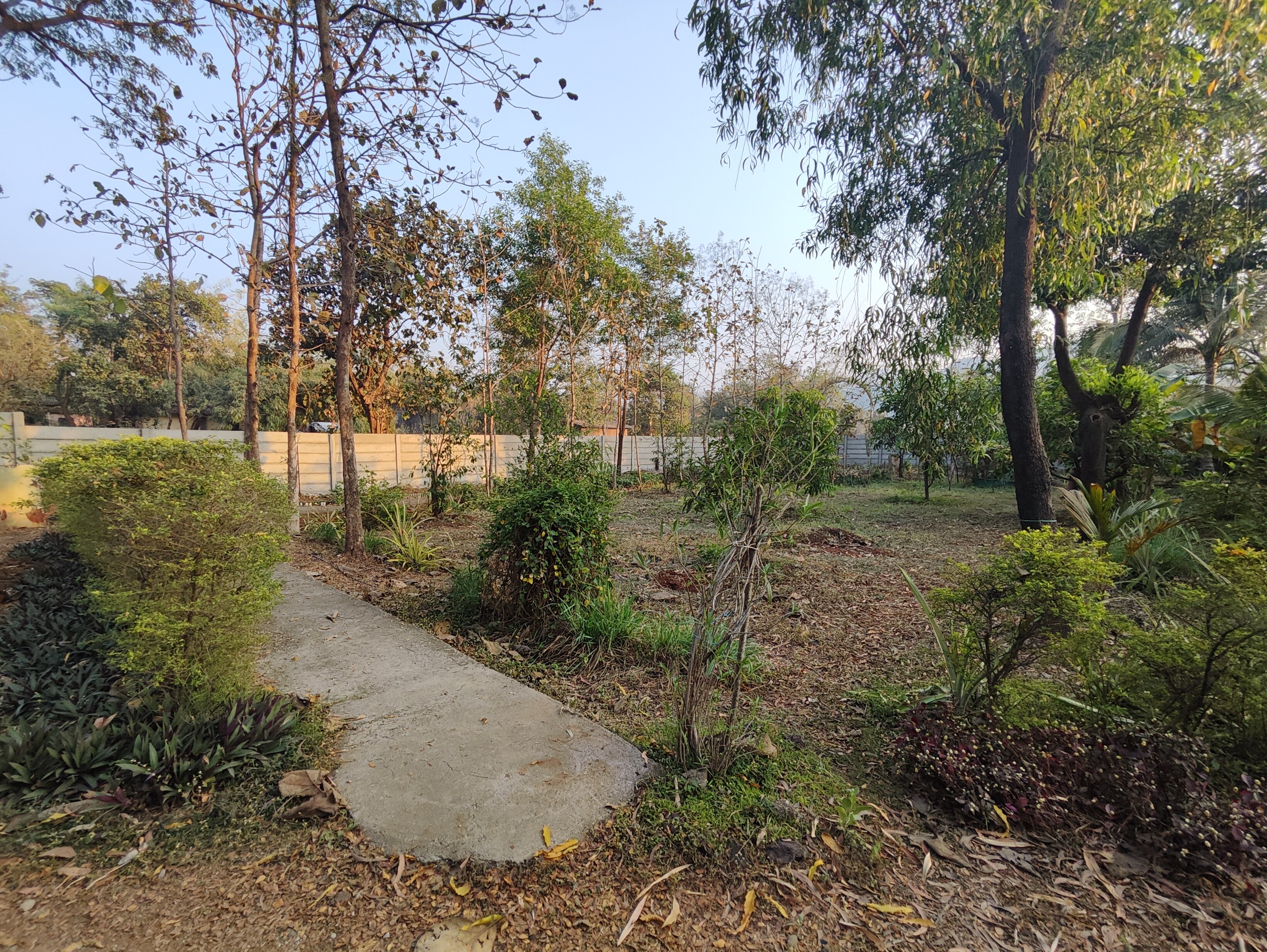 An Organic Farm Home Stay at Sha Farm House Karjat - Reviews, Photos ...