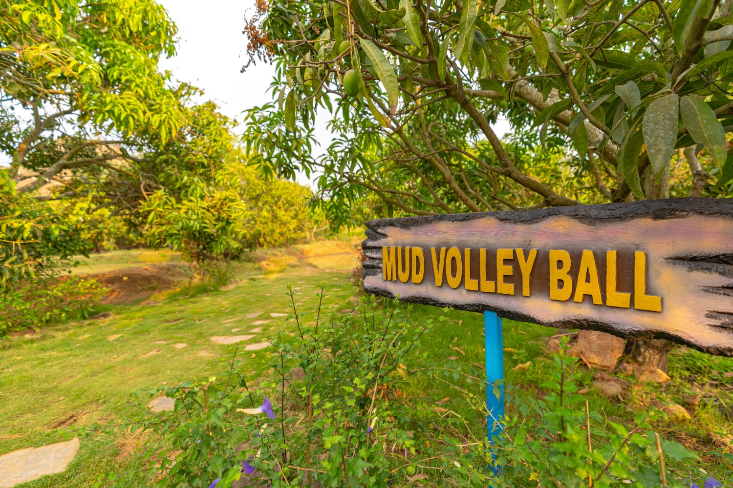 Q Mango Resort Ramanagara - Reviews, Photos & Offer