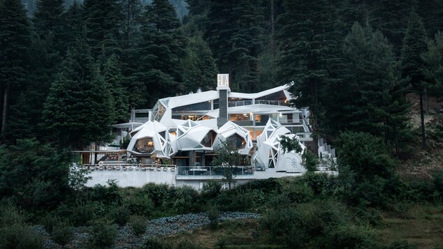 Tree of Life Eila Art Hotel, Manali Hotel Manali - Reviews, Photos & Offer