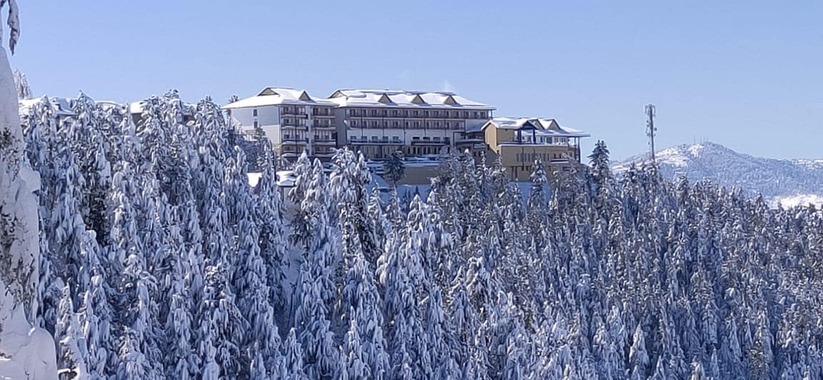 Taj Theog Resort & Spa, Shimla Theog - Reviews, Photos & Offer