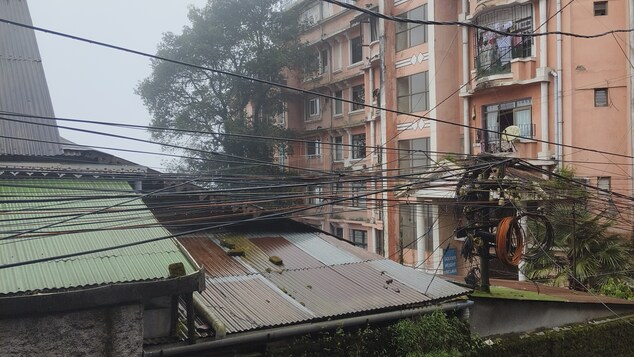 Muscatel Bhumsang - 200 Mts from Mall Road Hotel Darjeeling - Reviews ...