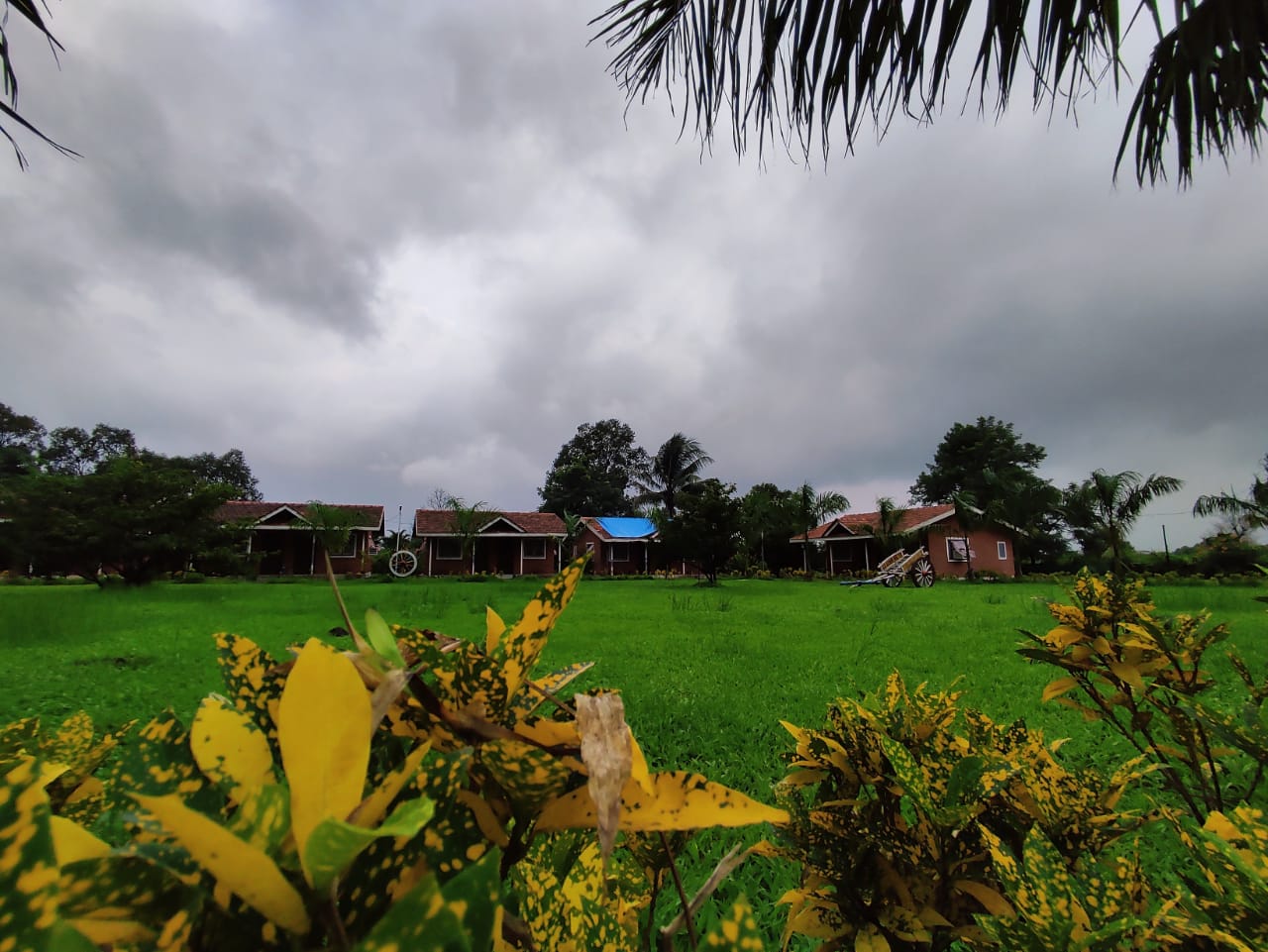 Mango Tree Farm Resort | Farm Stay Hotel Karjat - Reviews, Photos & Offer