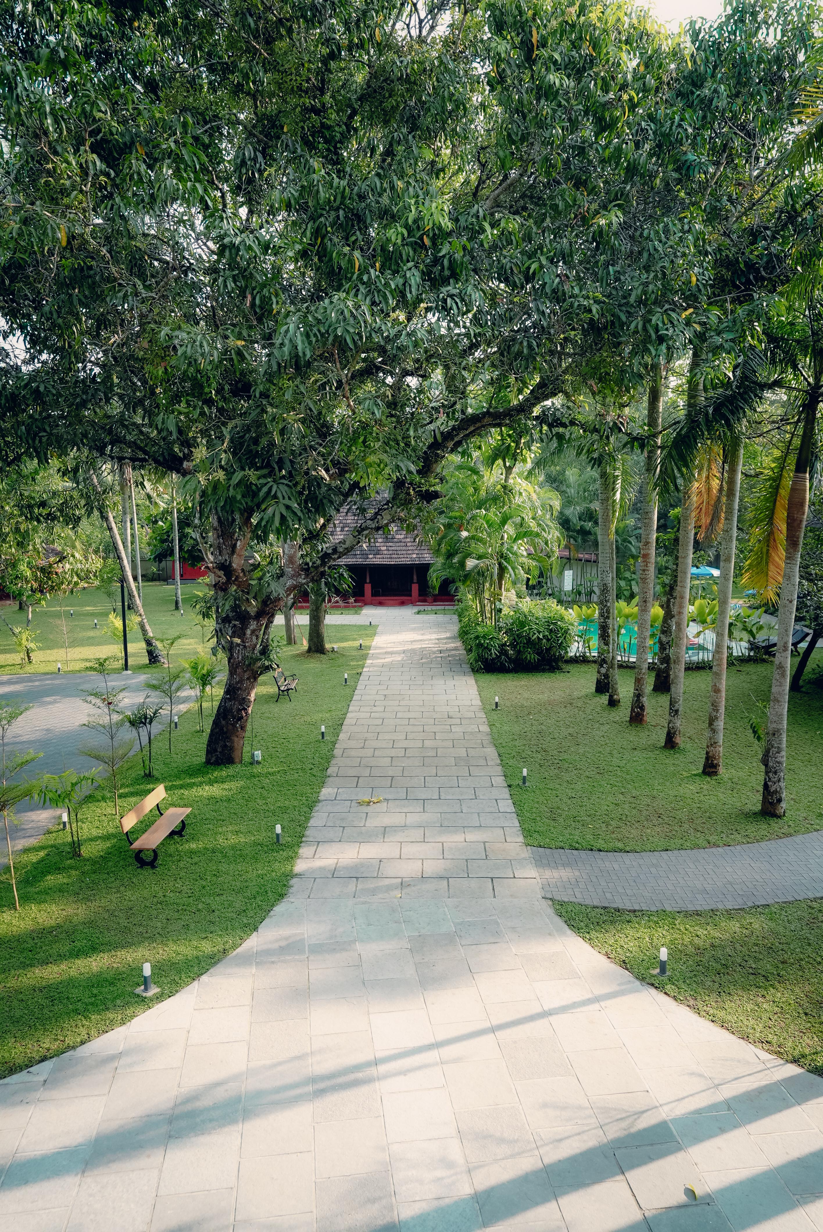 Aaria Beach Resort & Spa Alleppey - Reviews, Photos & Offer