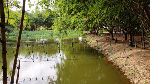 Jaladhama Resort Hotel Talakadu - Reviews, Photos & Offer