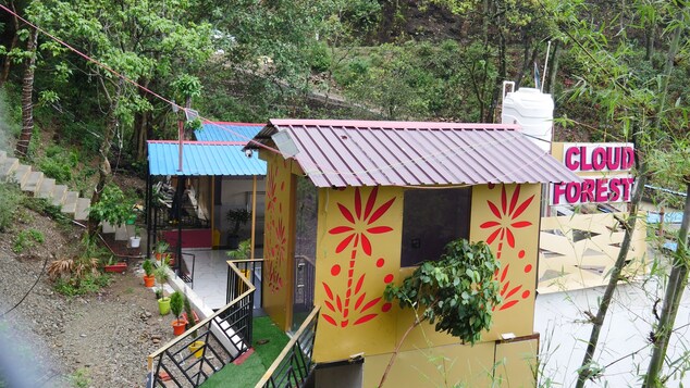 Cloud Forest Hotel Lansdowne - Reviews, Photos & Offer
