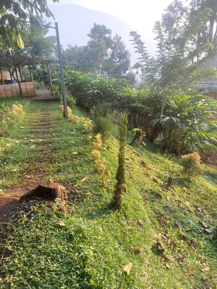 Meraki Tribe Heritage Hotel Munnar - Reviews, Photos & Offer